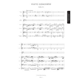 Flute Concerto in D