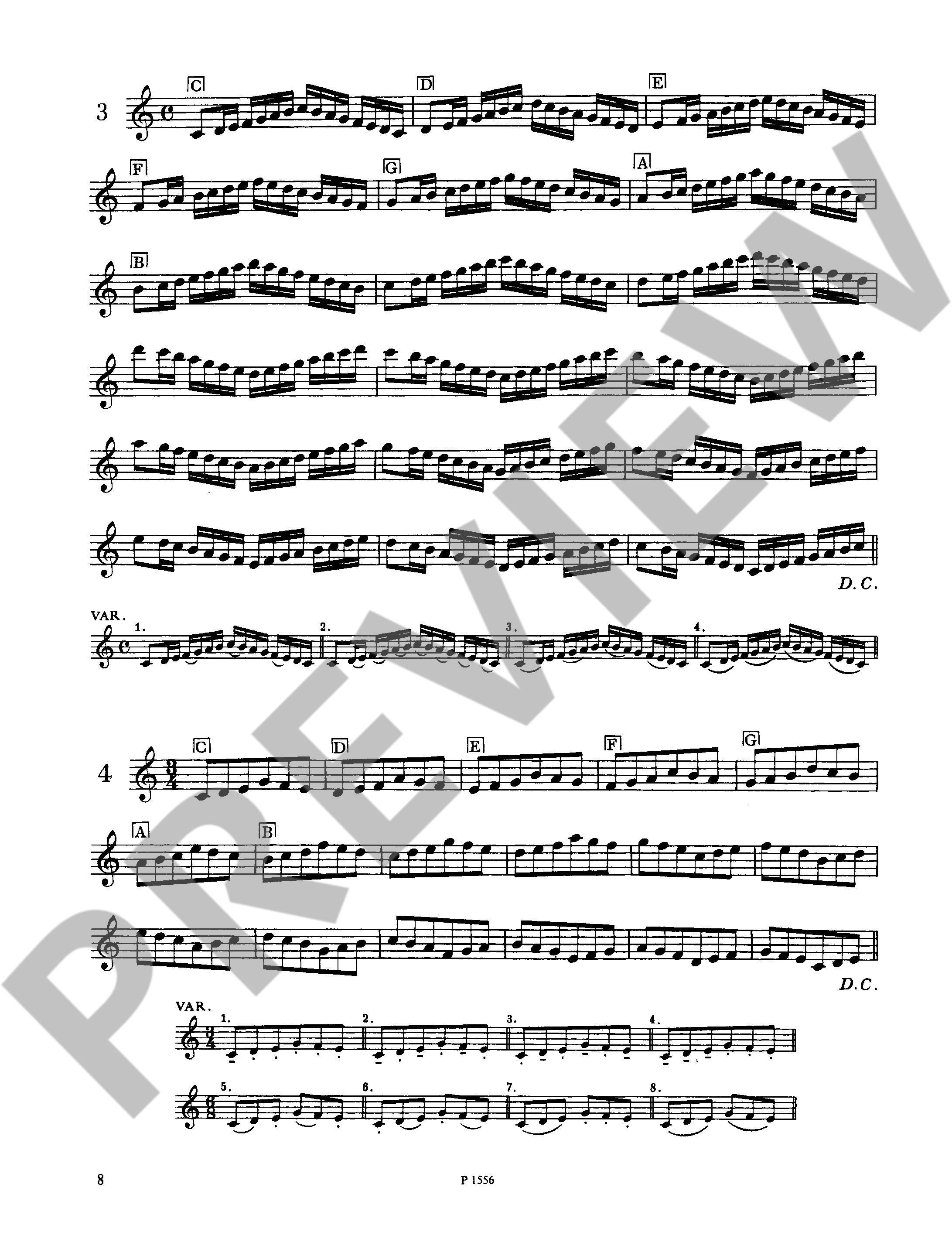 The Rudiments of Technique, Scales and Chords - descant recorder ...